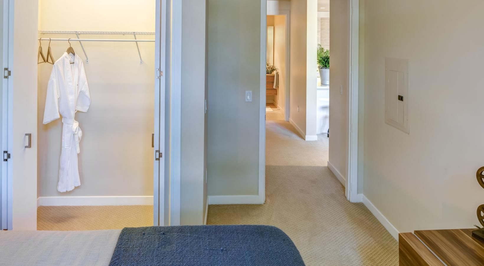 Pet-friendly apartments in SAN JOSE, CA | Levare