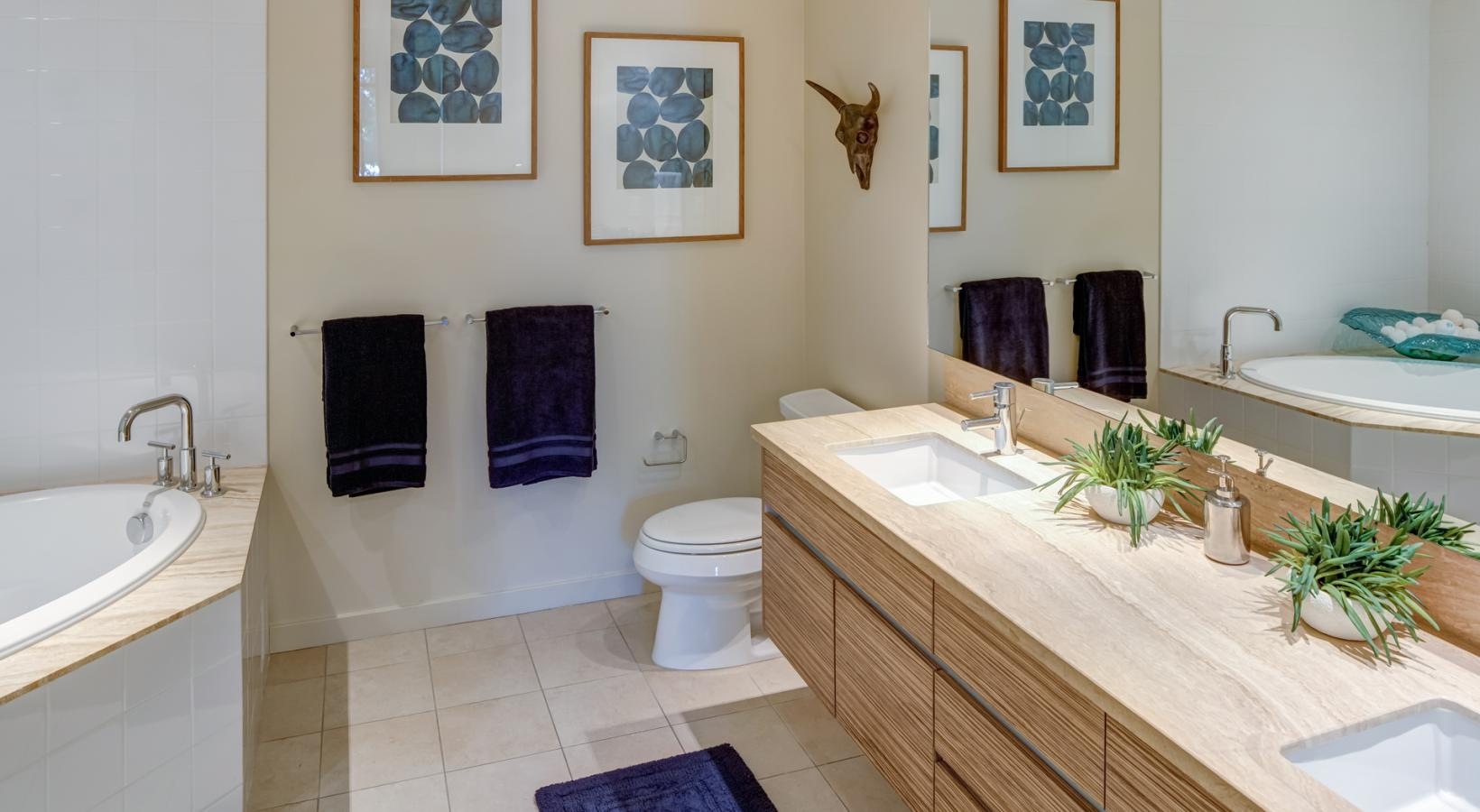 Pet-friendly apartments in SAN JOSE, CA | Levare